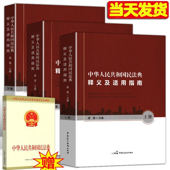 【民法典系列丛书】民法典精装大字版 民法典释义及适用指南 八五普法学习推荐用书 民法典怎样看孙宪忠 中华人民共和国民法典释义及适用指南【三册套装】