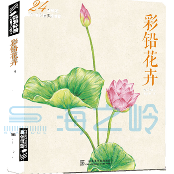 彩铅花卉
