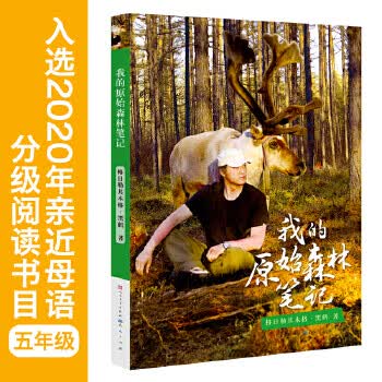我的原始森林笔记