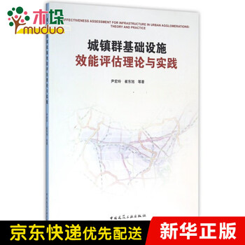 城镇群基础设施效能评估理论与实践