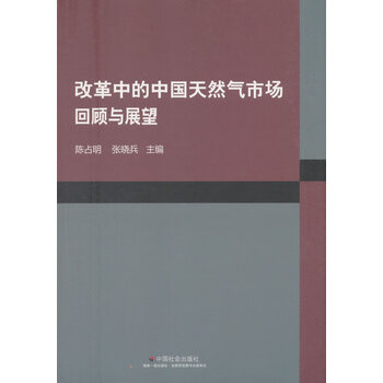 改革中的中国天然气市场:回顾与展望