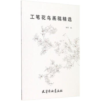 工笔花鸟画稿精选