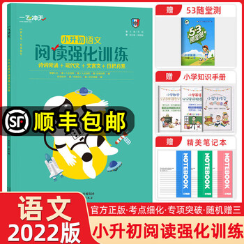 2022版 一飞冲天小升初语文阅读强化训练 诗词背诵现代文阅读文言文阅读 小升初语文阅读强化训练