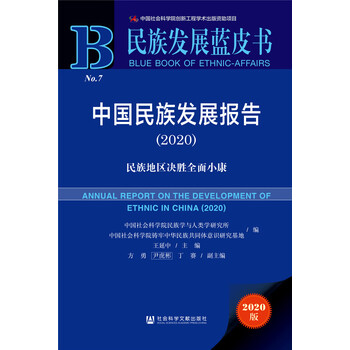 中国民族发展报告（2020）