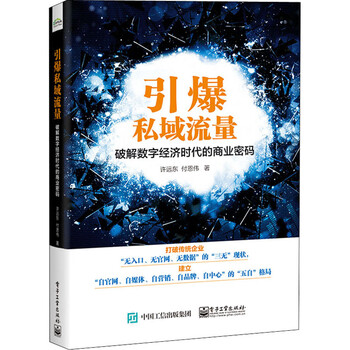 引爆私域流量 破解数字经济时代的商业密码
