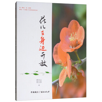 花儿在身边开放