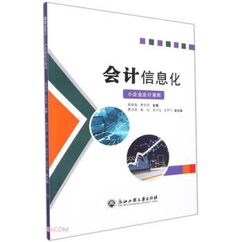 会计信息化(小企业会计准则)