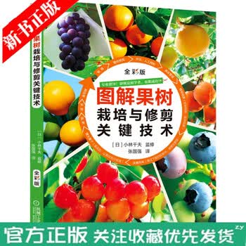 图解果树栽培与修剪关键技术  果树栽培与修剪的专业技巧 果树盆栽 庭院栽培 果园种植栽培管理书籍