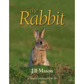 The Rabbit
