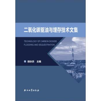 [正版]二氧化碳驱油与埋存技术文集 胡永乐 石油工业出版社 9787518312153