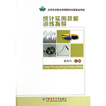 统计实用技能训练指导