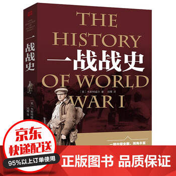 一战战史全集 世界大战 战争形势和战略战术 武器 政治军事历史战争战略图书畅销书世界通史全史
