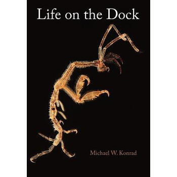 Life on the Dock