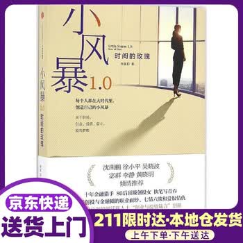 小风暴1.0 肖茉莉 著 中信出版社