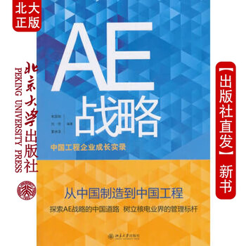 AE战略--中国工程企业成长实录