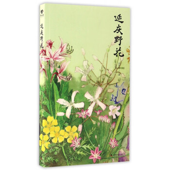 延庆野花