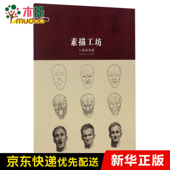 素描工坊(人体结构篇)