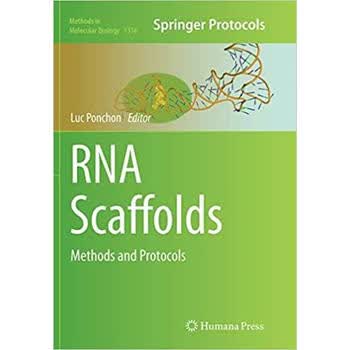 RNA Scaffolds: Methods and Protocols