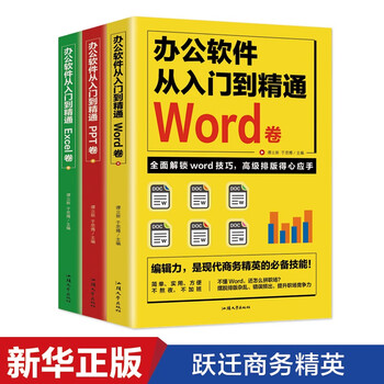 Word Excel PPT套装全3册办公软件从入门到精通 职场表格制作会计做账公式大全教程书