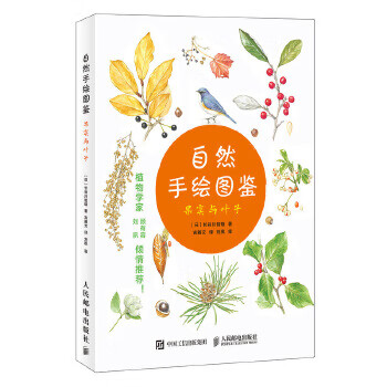 自然手绘图鉴 果实与叶子