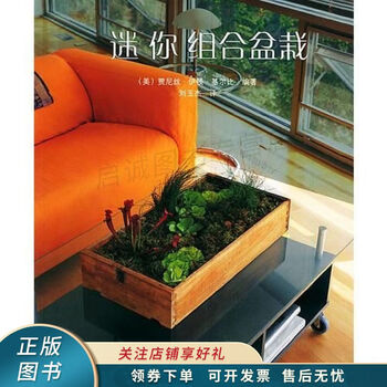 迷你组合盆栽