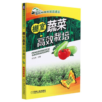 棚室蔬菜高效栽培