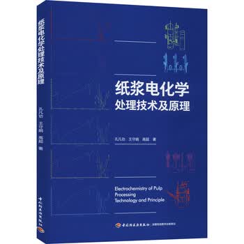 纸浆电化学处理技术及原理
