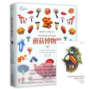 蘑菇博物馆+古尔德手绘巨嘴鸟高清大图