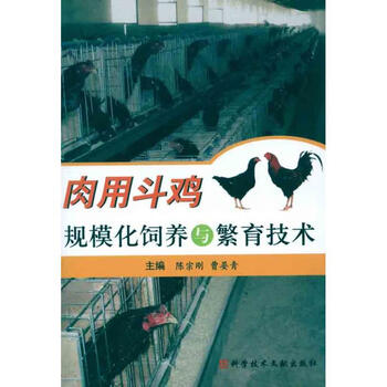 肉用斗鸡规模化饲养与繁育技术