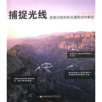 捕捉光线 (英)沃森 著,陈刚 等译