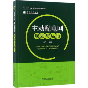 主动配电网规划与运行