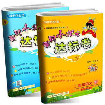 2021春黄冈小状元二年级语文数学下册达标卷RJ人教版2册可搭作业本试卷教材同步练习册寒假作业书XJ