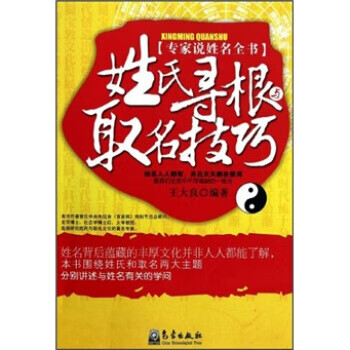 姓氏寻根与取名技巧王大良 气象出版社 9787502951221