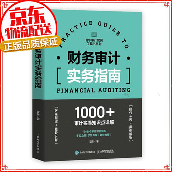 数字化审计实务指南 会计审计经济学书籍 财务审计实务指南