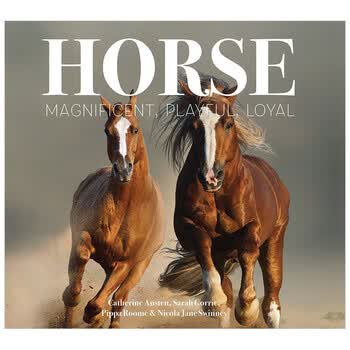 现货Horse 马 英文原版动物图鉴