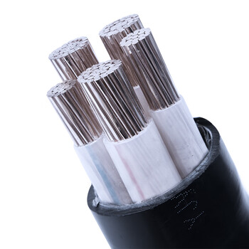 3+2芯铝电缆5芯25/35/50/70/95/120/150/185/240/300平方电缆带铠 国标铝芯3*300+2*150/1米【图片 价格 品牌 报价】-京东