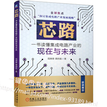 芯路:一书读懂集成电路产业的现在与未来 冯锦锋 郭启航 著 芯片技术书籍