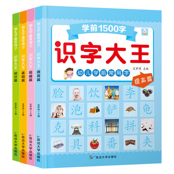 新版幼小衔接学前识字书识字大王全4册幼儿园教育认字图书3-4-5-6岁幼儿学前班早教拼音大班中班