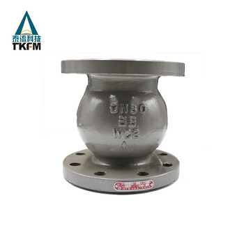 【止回阀H42H-25C】泰流科技（TKFM）止回阀H42H-25C DN65【行情 报价 价格 评测】-京东