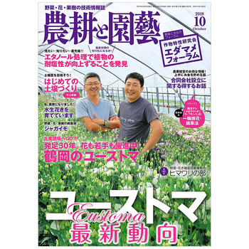 【包邮】订阅農耕と園芸 农业资讯杂志 日本日文 年订12期E356原版