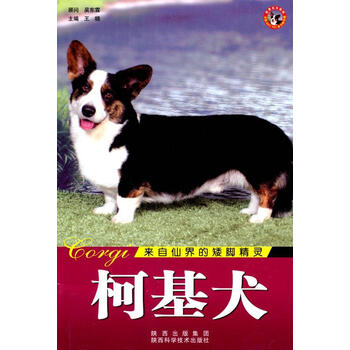 名犬-柯基犬 家居 王晓 陕西科学技术出版社 9787536946774