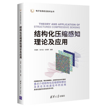 结构化压缩感知理论及应用（电子信息前沿技术丛书）