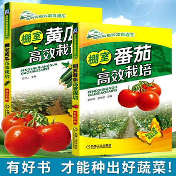棚室蔬菜高效栽培：黄瓜+西红柿番茄 大棚种黄瓜 西红柿 大棚蔬菜栽培教程 番茄病虫害防治技术书