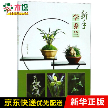 新手学养兰