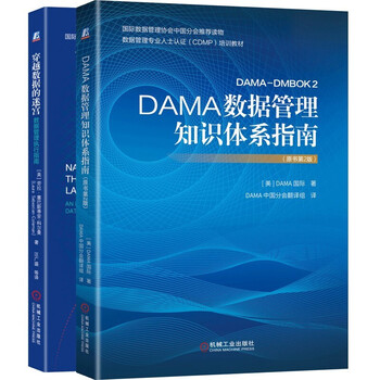 【套装2册】DAMA数据管理知识体系指南 原书第2版+穿越数据的迷宫：数据管理执行指南