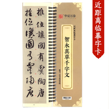 近距离临摹字卡智永真草千字文 墨迹本草书行草高清还原临帖练字帖教程 真草书法入门临写
