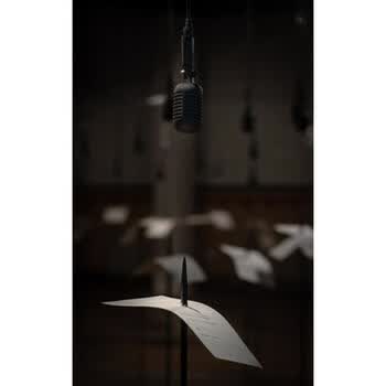 Shilpa Gupta: Sun at Night