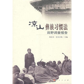 梁山彝族习惯法 陈金全【正版书】