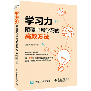 学习力：颠覆职场学习的高效方法 王世民 著