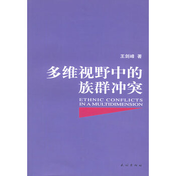 多维视野中的族群冲突 王剑峰 民族出版社